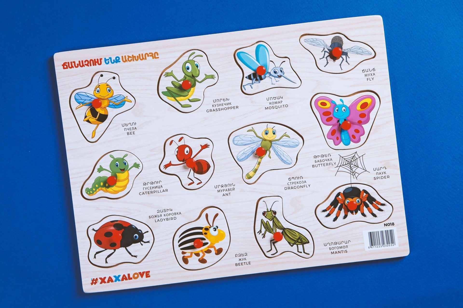 Discovering The World - Insects (1)