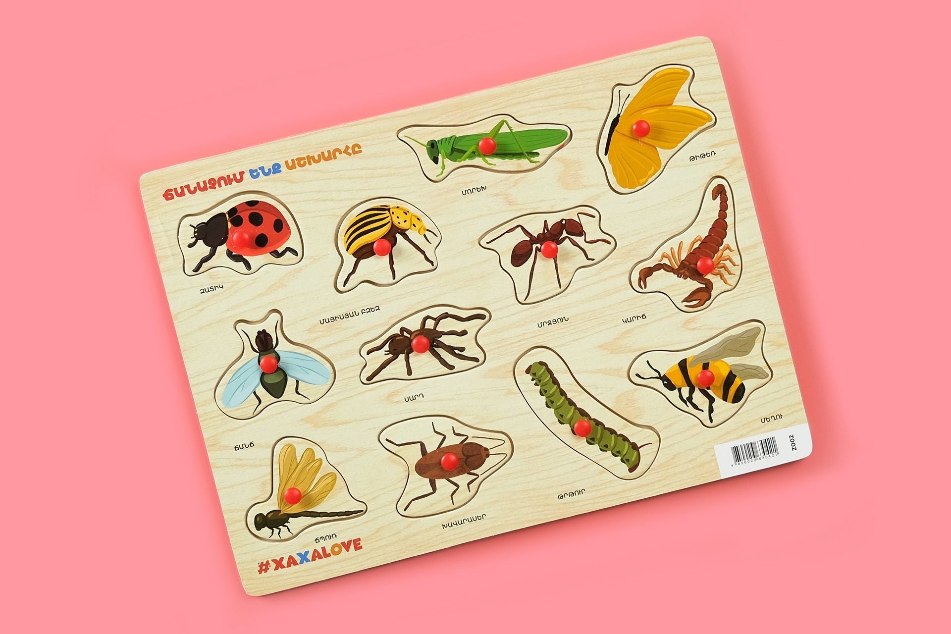 Discovering The World - Insects (2)